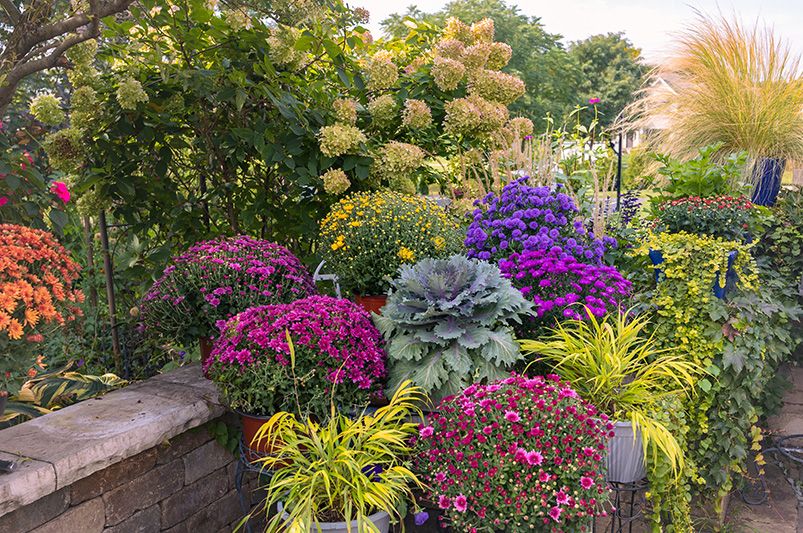 5 Stunning Fall Landscaping Ideas for 2024 | ShrubHub