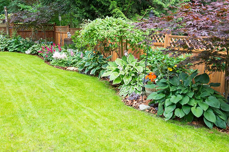 Stunning Asymmetrical Gardens You'll Love | ShrubHub