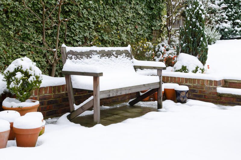 16 Garden Winter Prep Tips For Healthy Plants | ShrubHub
